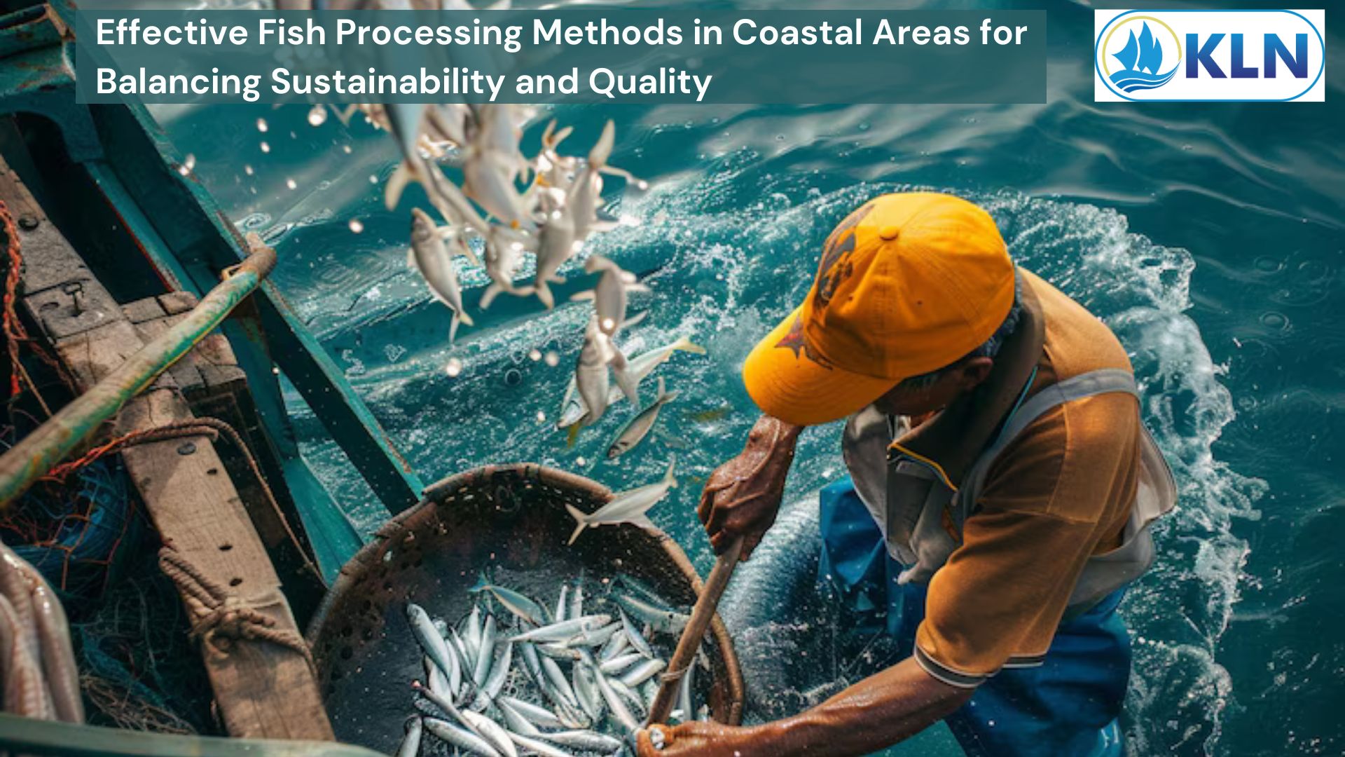 Effective Fish Processing Methods in Coastal Areas for Balancing ...