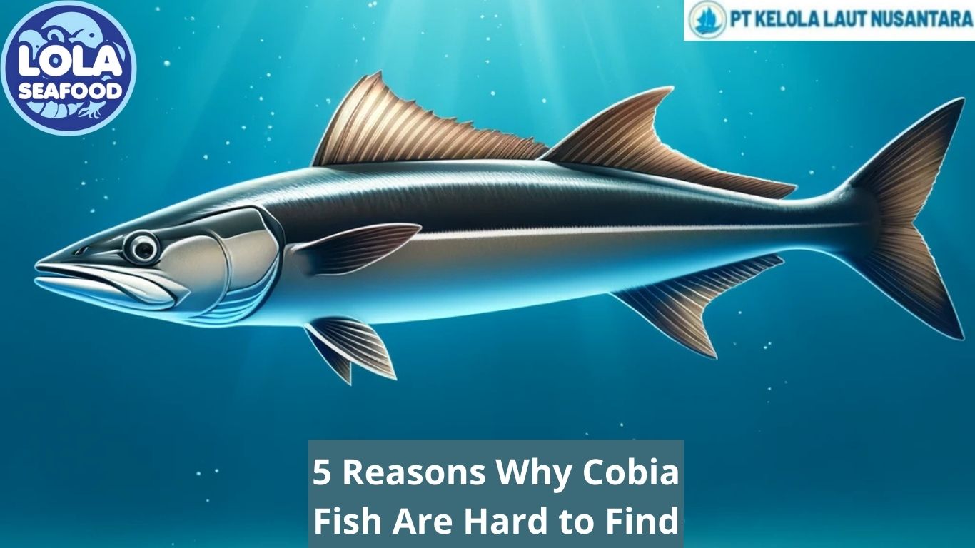 5 Reasons Why Cobia Fish Are Hard to Find