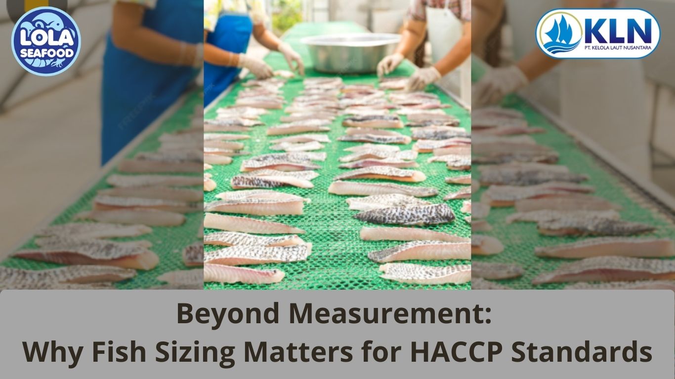 Beyond Measurement: Why Fish Sizing Matters for HACCP Standards