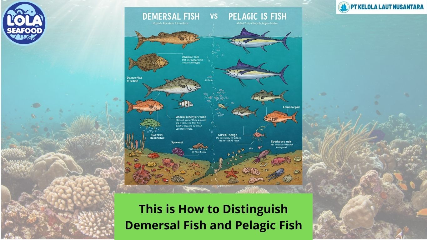 6 Things You Should Know About Barramundi: The Iconic Fish of the Indo ...