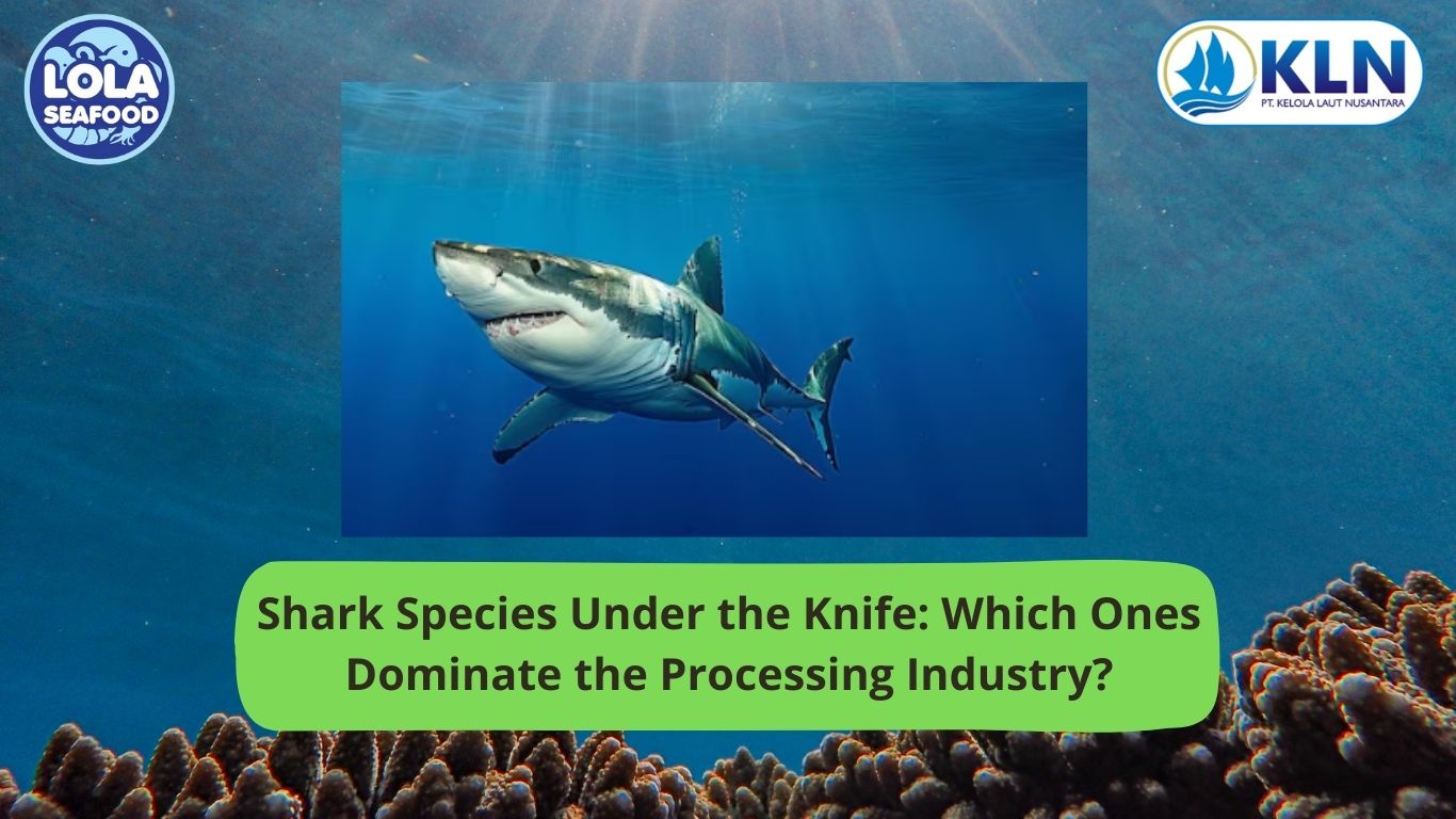 Shark Species Under the Knife: Which Ones Dominate the Processing Industry?