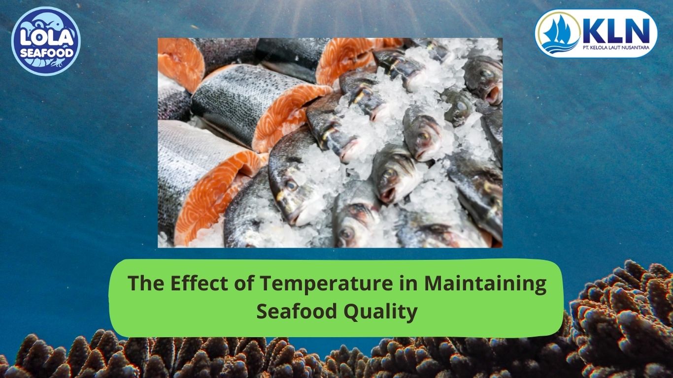 The Effect of Temperature in Maintaining Seafood Quality