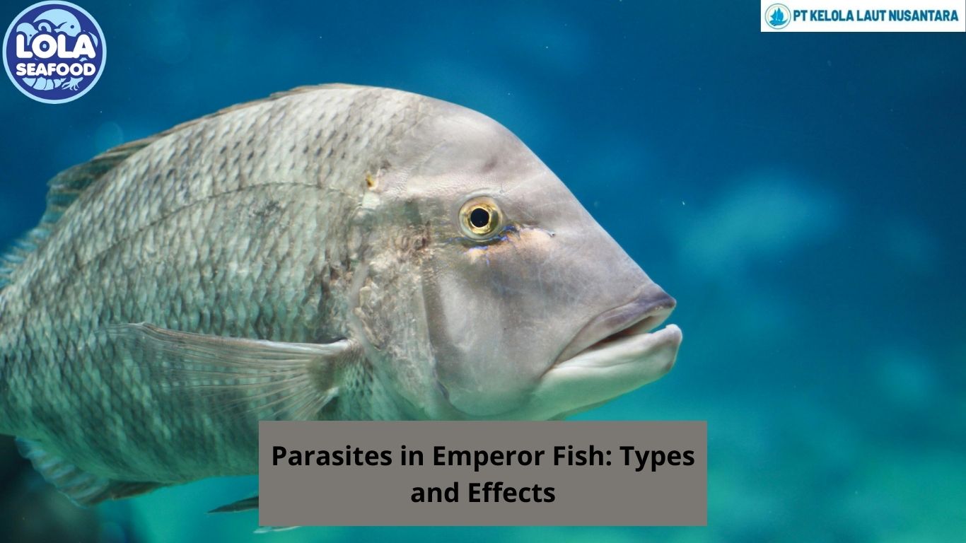 Parasites in Emperor Fish: Types and Effects