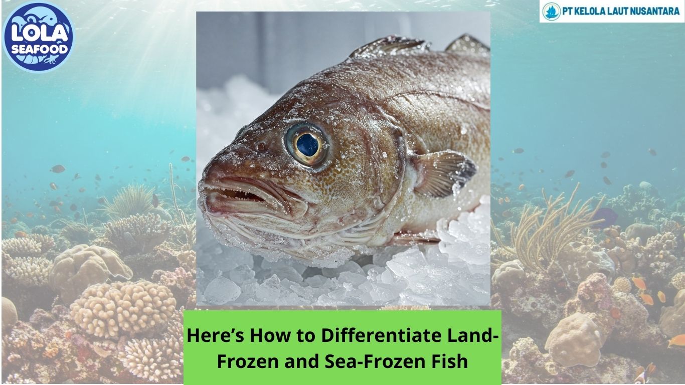 Exploring Different Types of Fish Products and Their Benefits