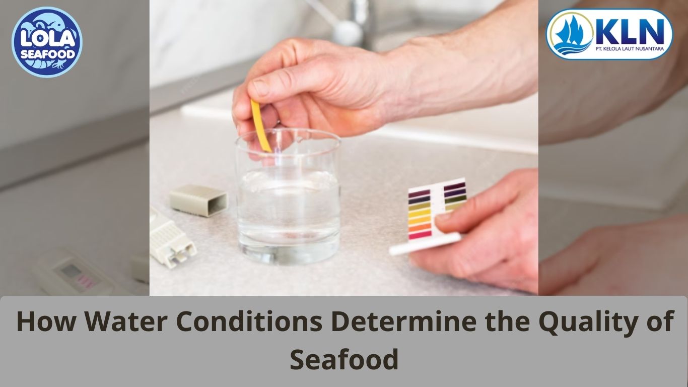 How Water Conditions Determine the Quality of Seafood