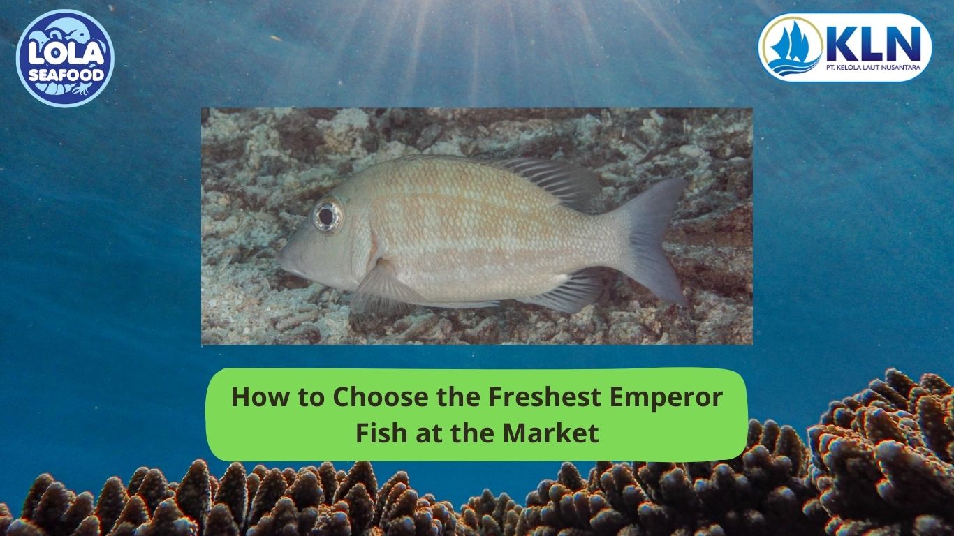 How to Choose the Freshest Emperor Fish at the Market