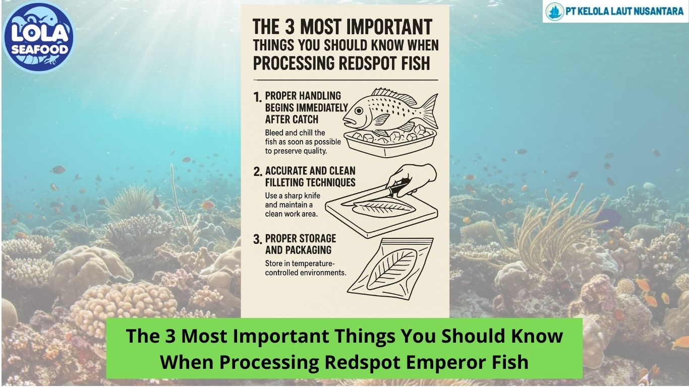 6 Things You Should Know About Barramundi: The Iconic Fish of the Indo ...