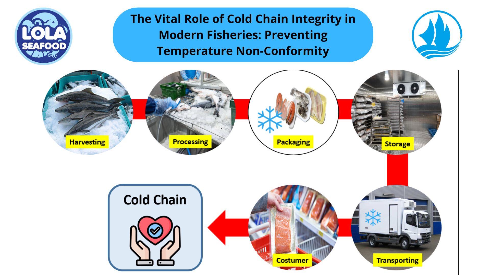 The Vital Role of Cold Chain Integrity in Modern Fisheries: Preventing ...
