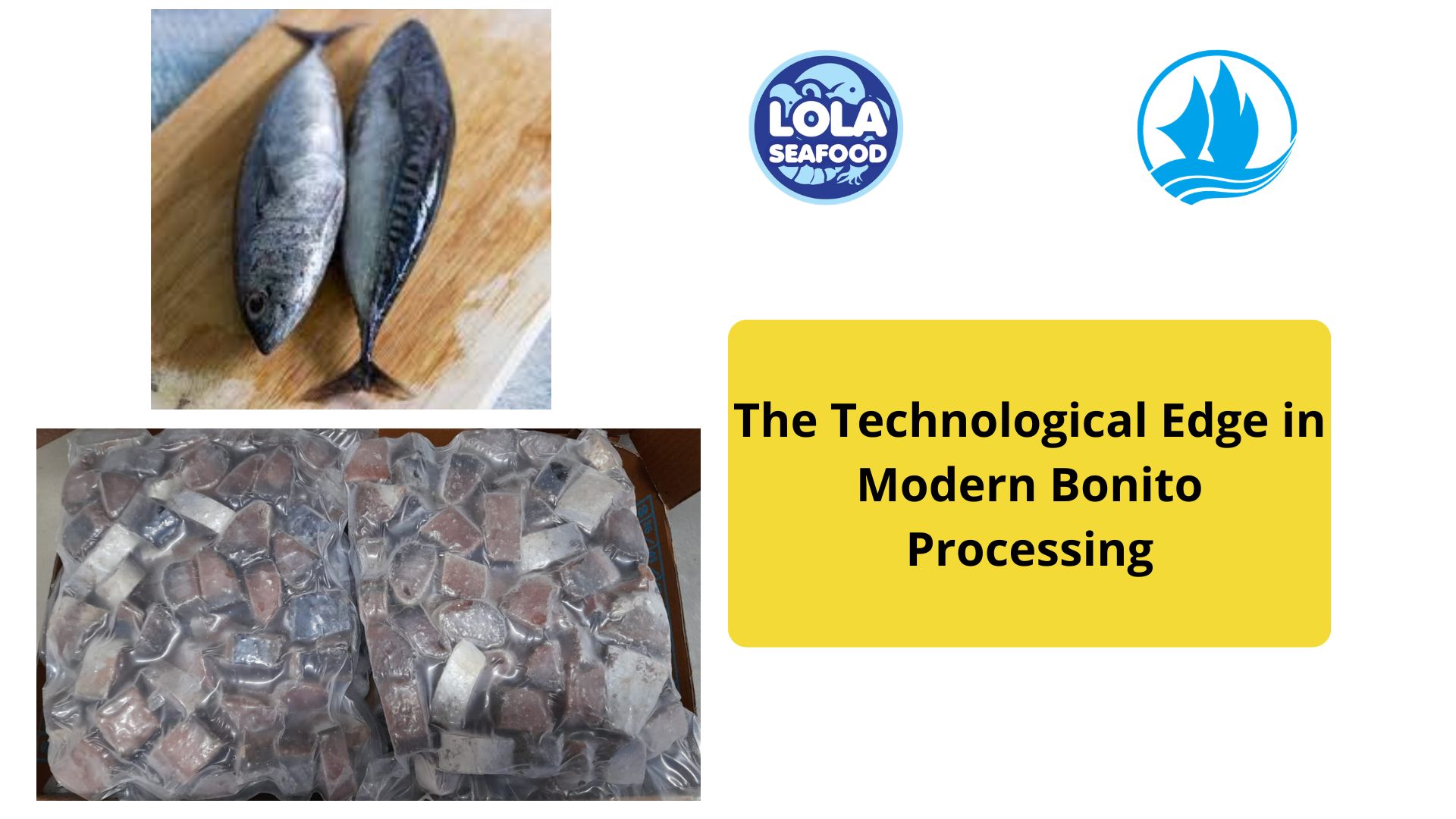 The Technological Edge in Modern Bonito Processing