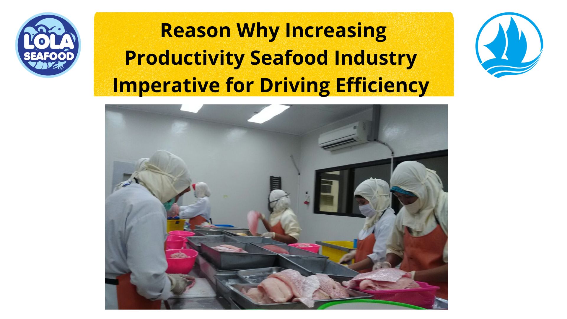 Reason Why Increasing Productivity Seafood Industry Imperative for ...
